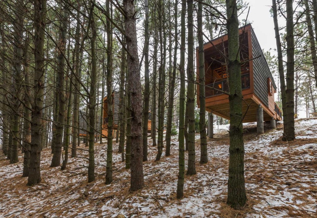 Madera en arquitectura y construcción ¿Claves? 50 manuales