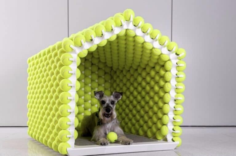 12 Casas para perros con algo más que madera y plástico | OVACEN