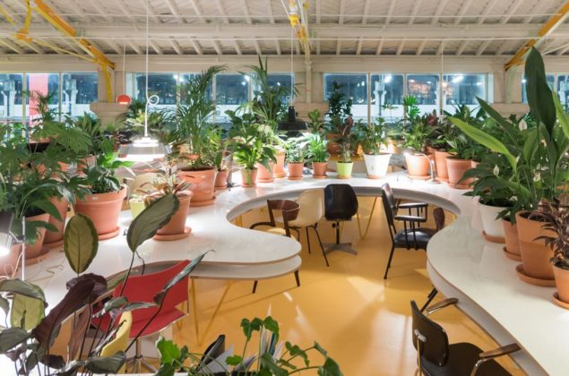 La oficina de coworking más saludable con 1000 plantas | OVACEN
