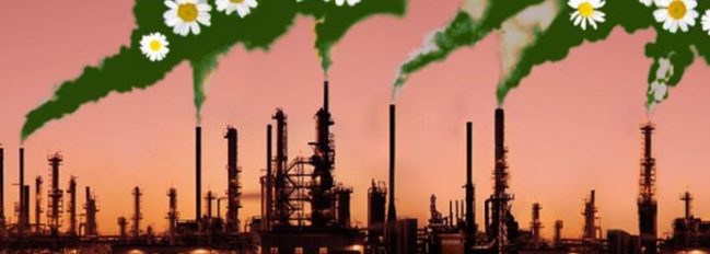 Qué es el Greenwashing y cómo funciona | Ejemplos greenwash!