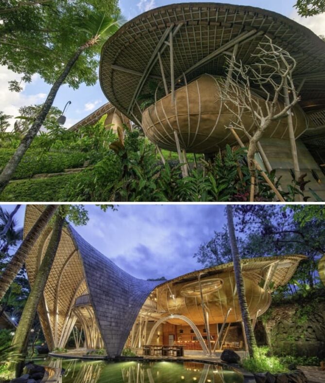 Bambú en construcción de casas y arquitectura sustentable ¿Por qué su uso?