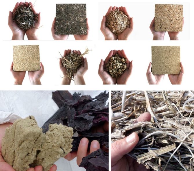 La casa biológica construida con tallos de tomate y algas | OVACEN