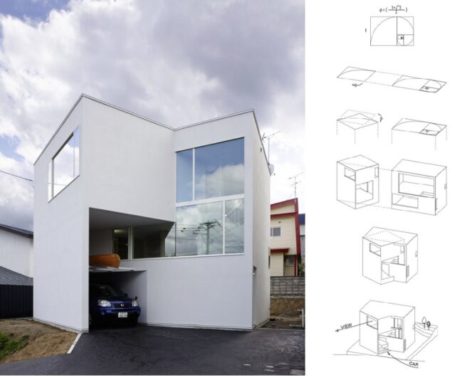 Golden ratio: What is it and how to find it? | 9 Examples