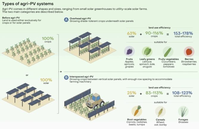 Agrivoltaics: Combine solar energy and cultivation. Why?