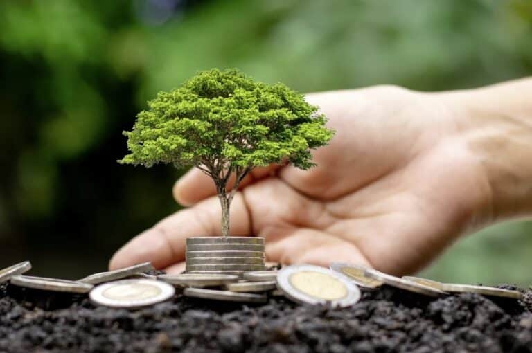 What is sustainable and sustainable development: Examples - Differences?