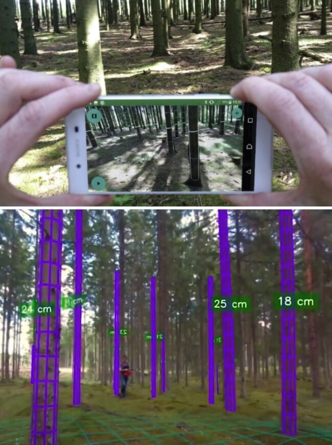 App software forestal: Cómo hacer un inventario forestal con alta ...
