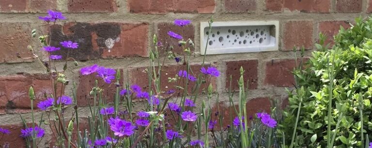 Ladrillos para abejas: una mini casa en la ciudad! | OVACEN