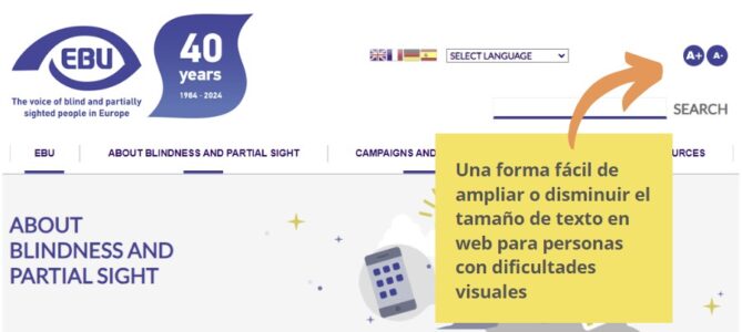Qué es la accesibilidad web y cómo se logra ¡Con ejemplos!