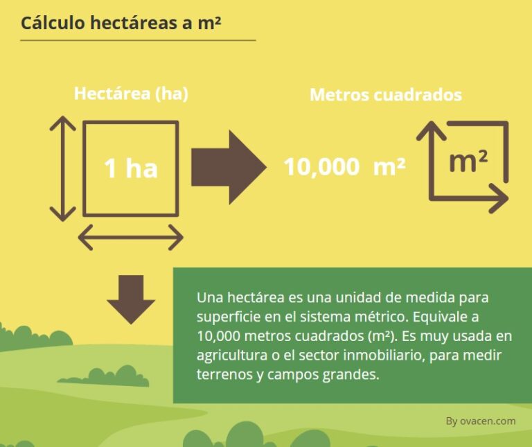 Conversión hectáreas a metros cuadrados | Calcular ha en m²