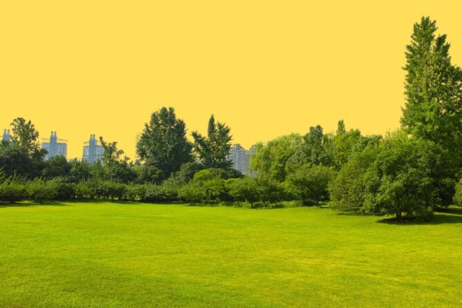 What is sustainable and sustainable development: Examples - Differences?