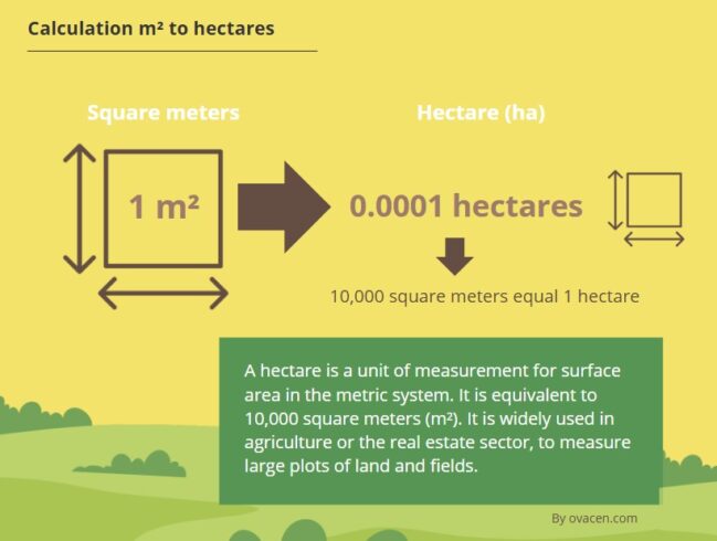 Convert square meters to hectares | Calculate m² to ha