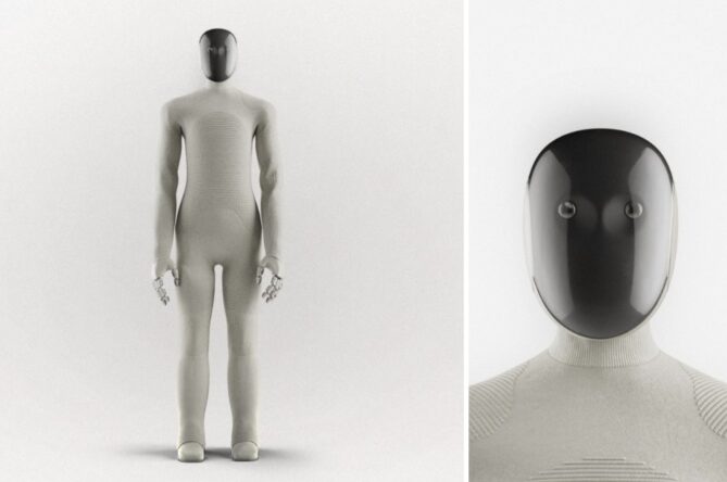 Domestic humanoid robots: 8 Examples that are crazy!