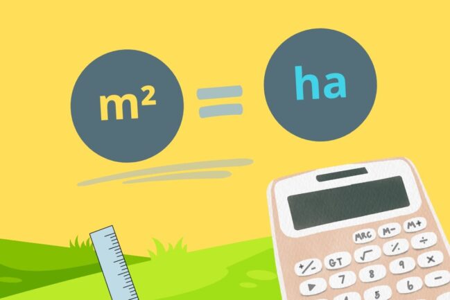 Convert square meters to hectares | Calculate m² to ha