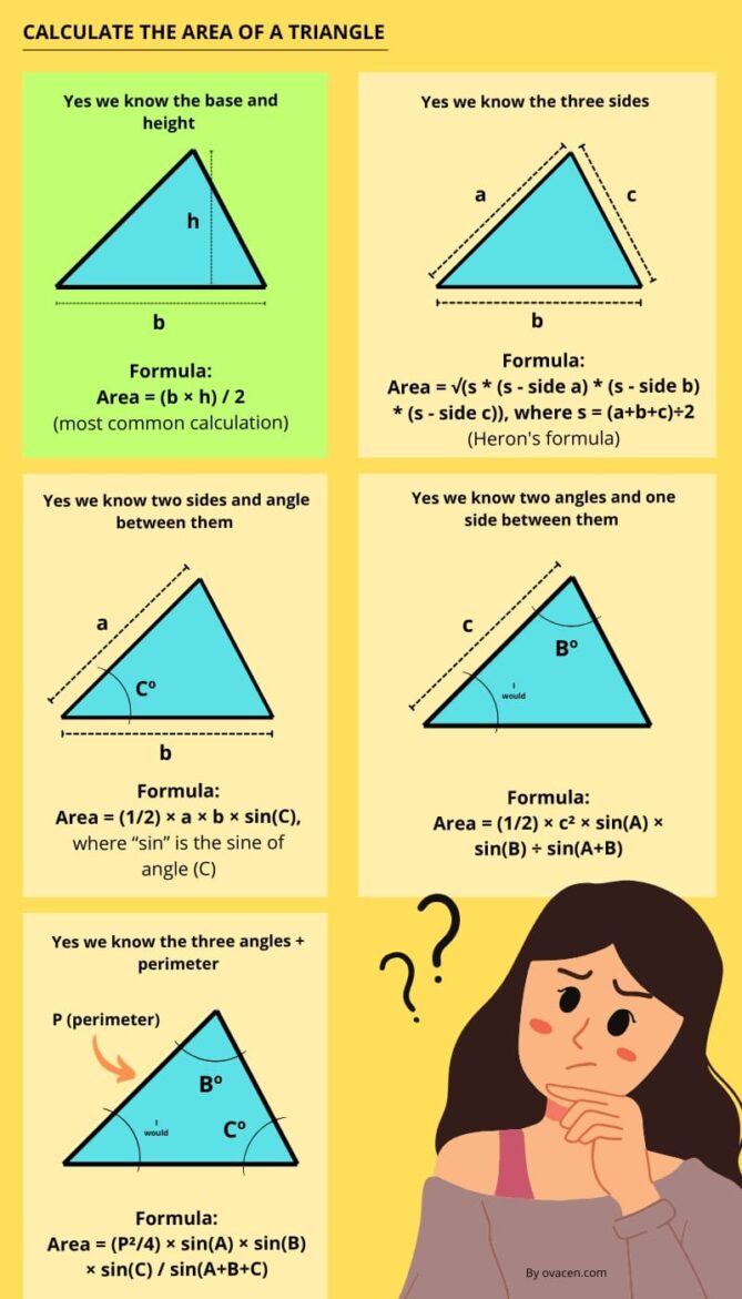Triangle area calculator online | Triangle Calculator!