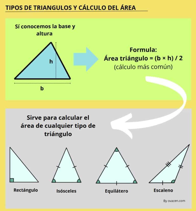 Calculadora área triángulo online | Superficie triangular!