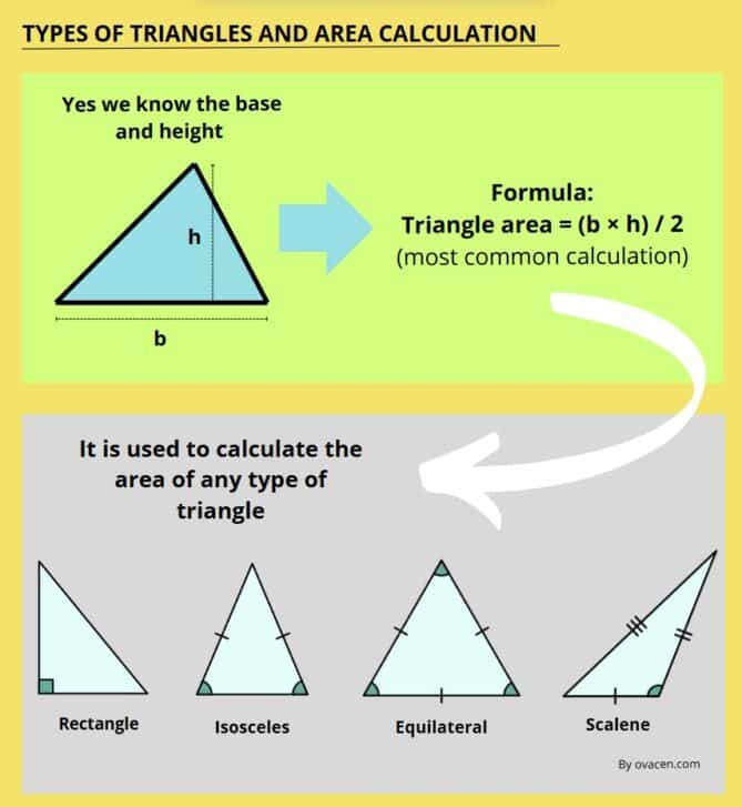Triangle area calculator online | Triangle Calculator!